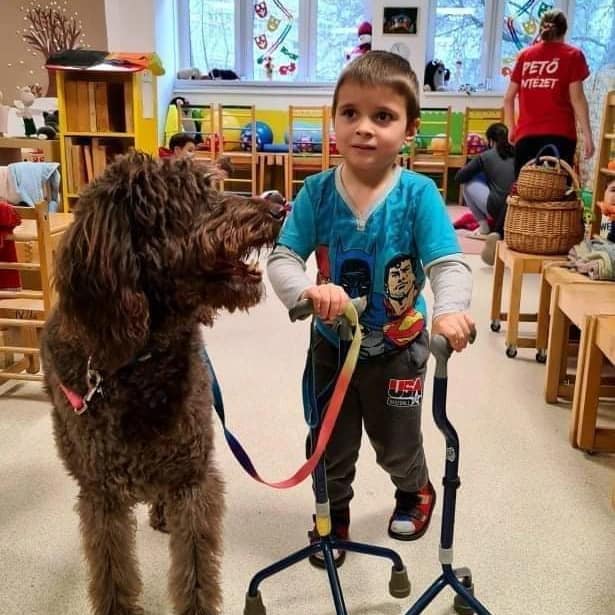 Ma zárul a licit! Támogasd Te is a kis Dominik gyógyulását! - Amíg Élek Én